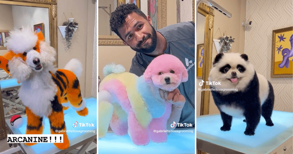 Dog Groomer Gives Pawsome Makeovers to His Furry Customers | “They Look Like Living Sculptures ...